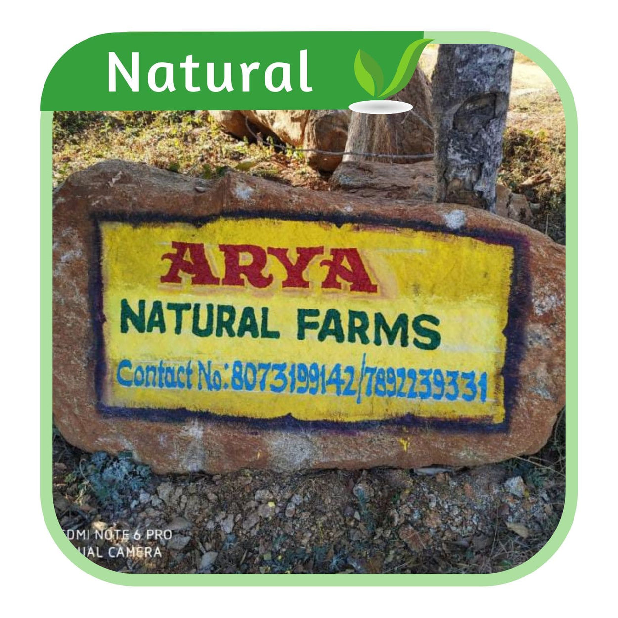 Arya Natural Farms – Organic Tap